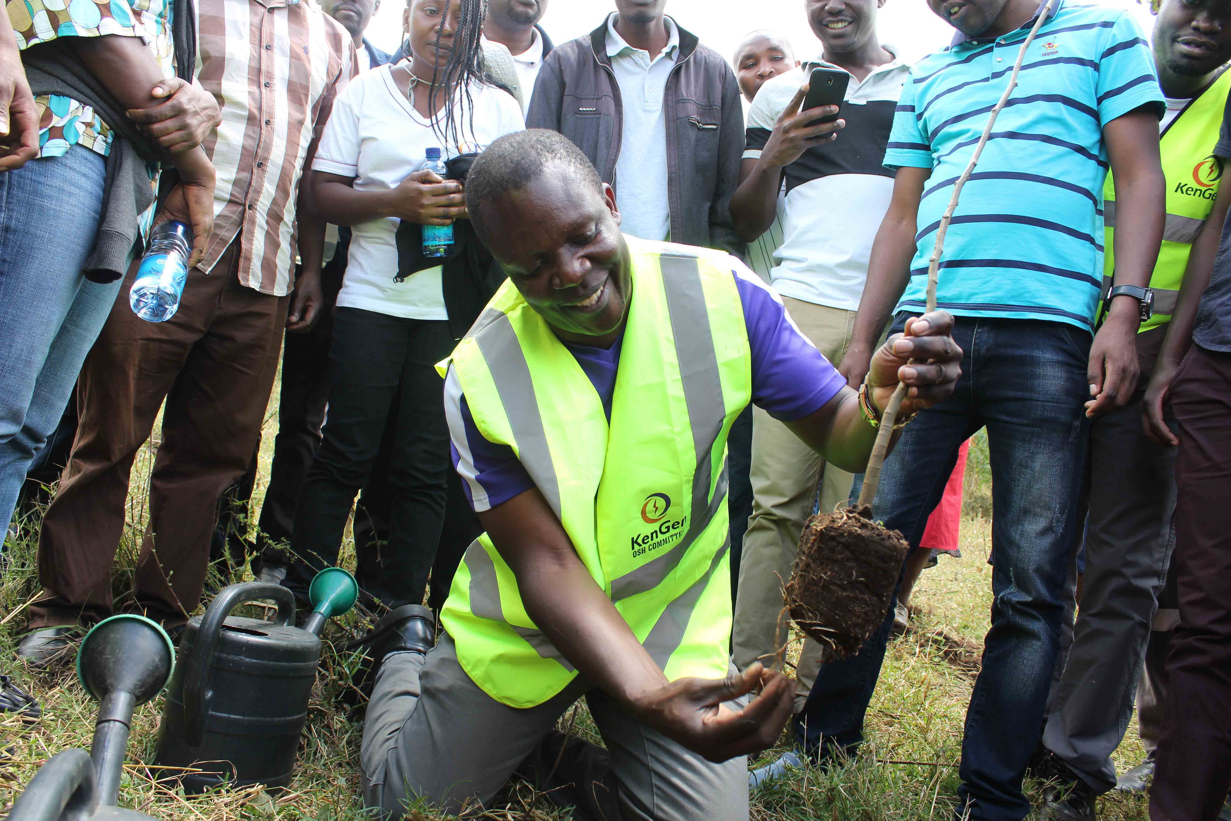 Olkaria Givers “Green” Eburru Forest with 1,000 Indigenous Trees ...
