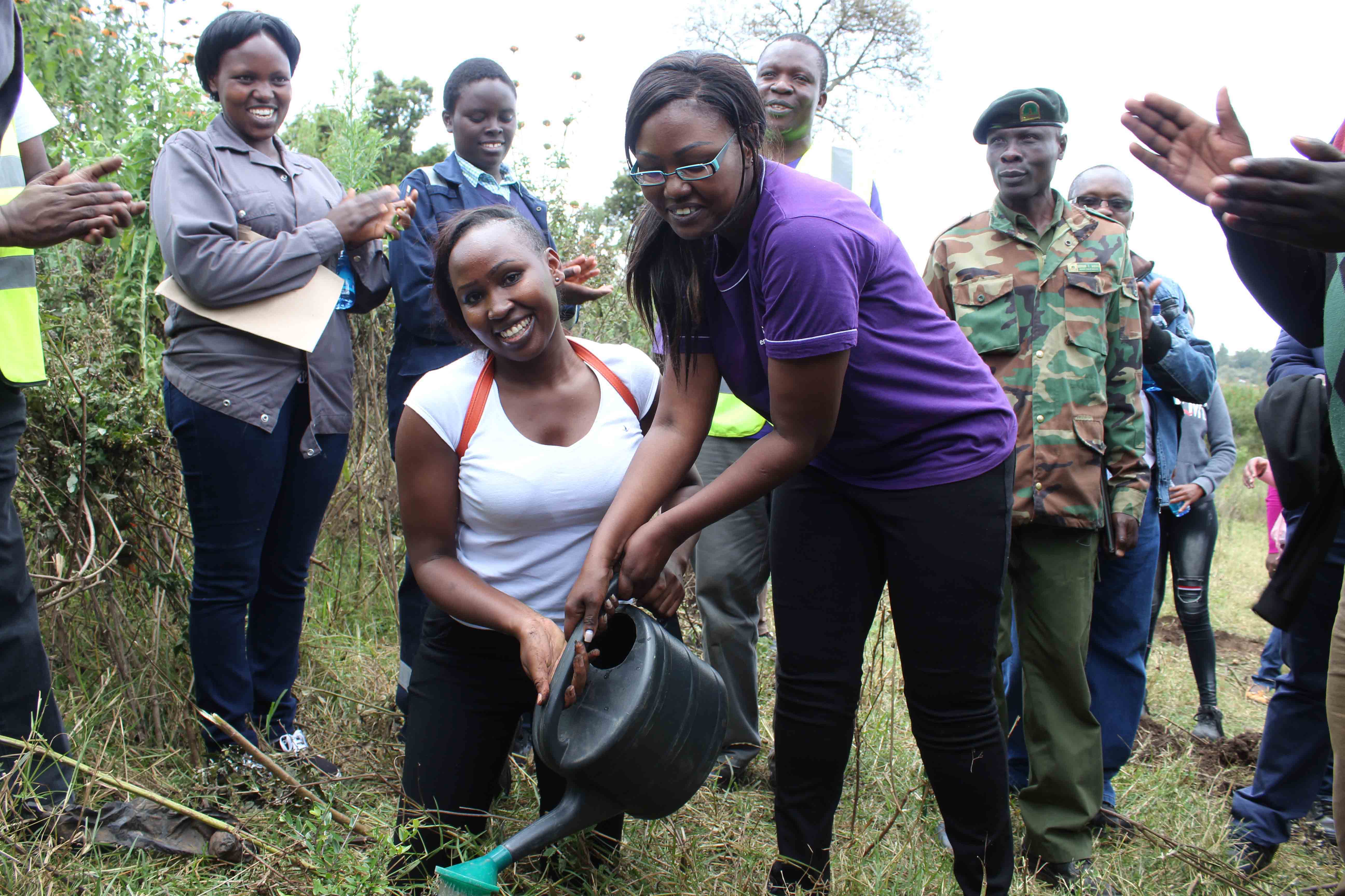 Olkaria Givers “Green” Eburru Forest with 1,000 Indigenous Trees ...