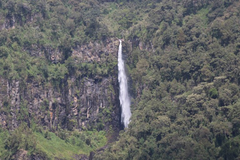 An Adrenalin-filled Adventure during Foundation’s Team Building ...