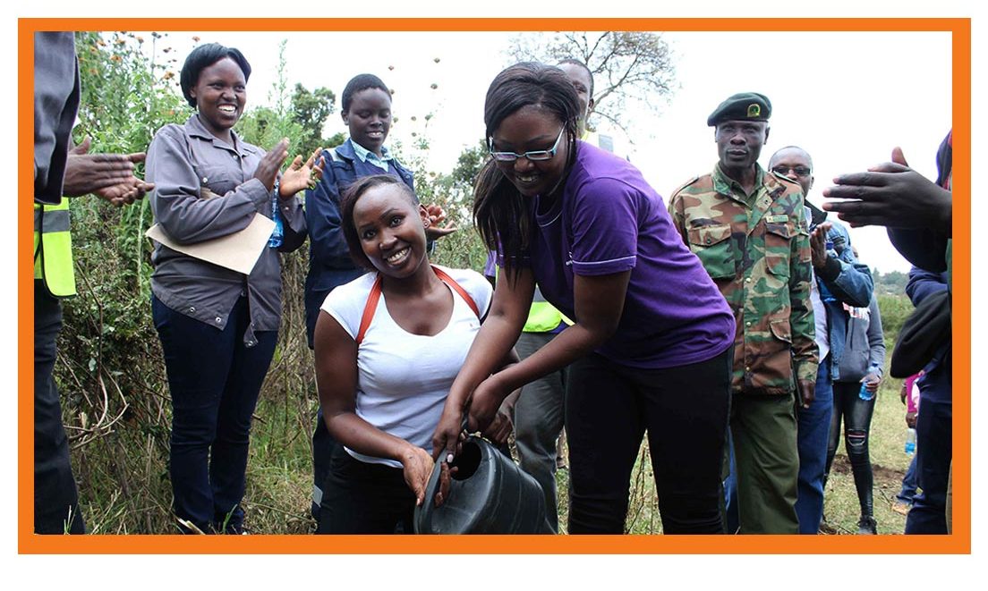 Olkaria Givers “Green” Eburru Forest with 1,000 Indigenous Trees ...