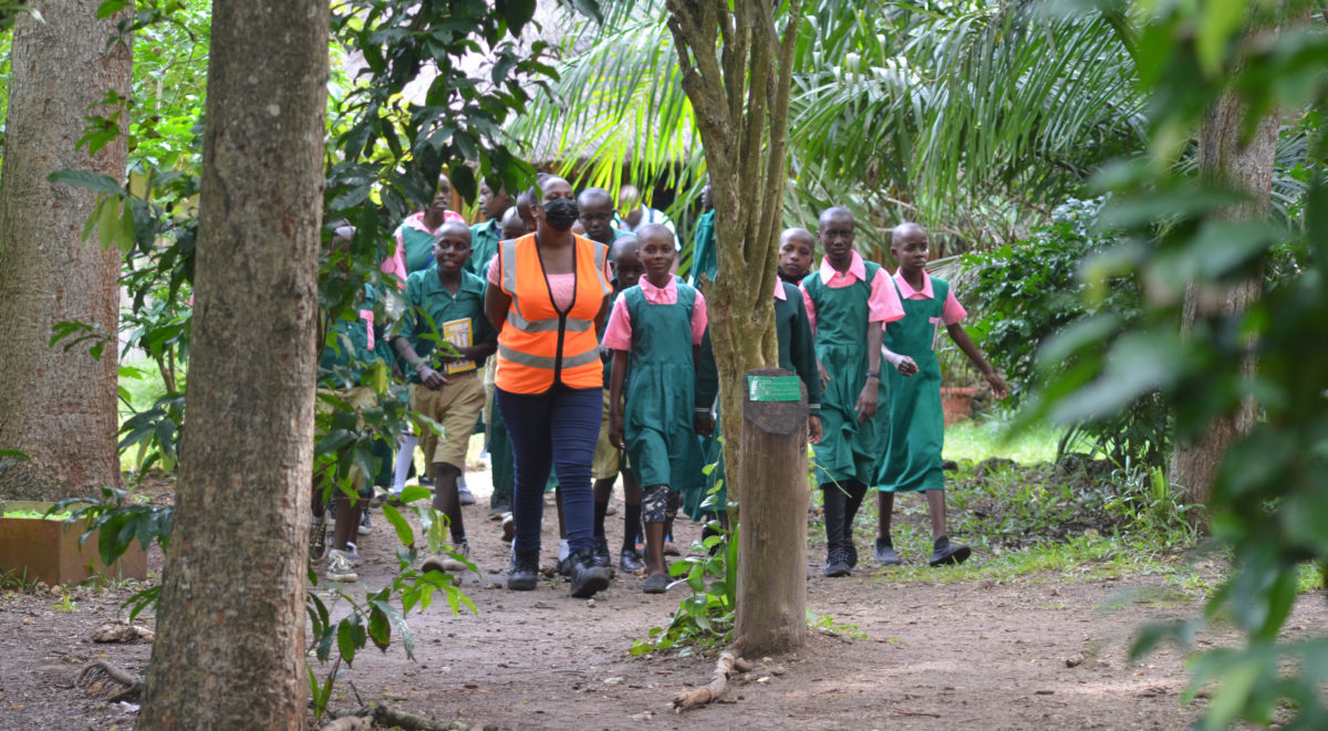Home Page - KenGen Foundation